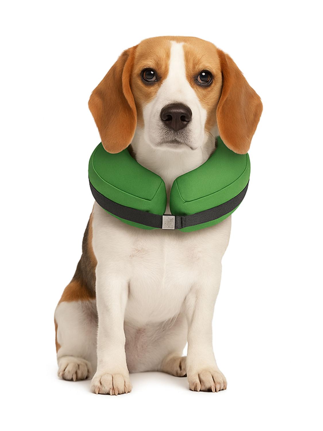 Collar Inflable M (25-33 cm) Isabelino Recuperación Mascotas – Vinipets
